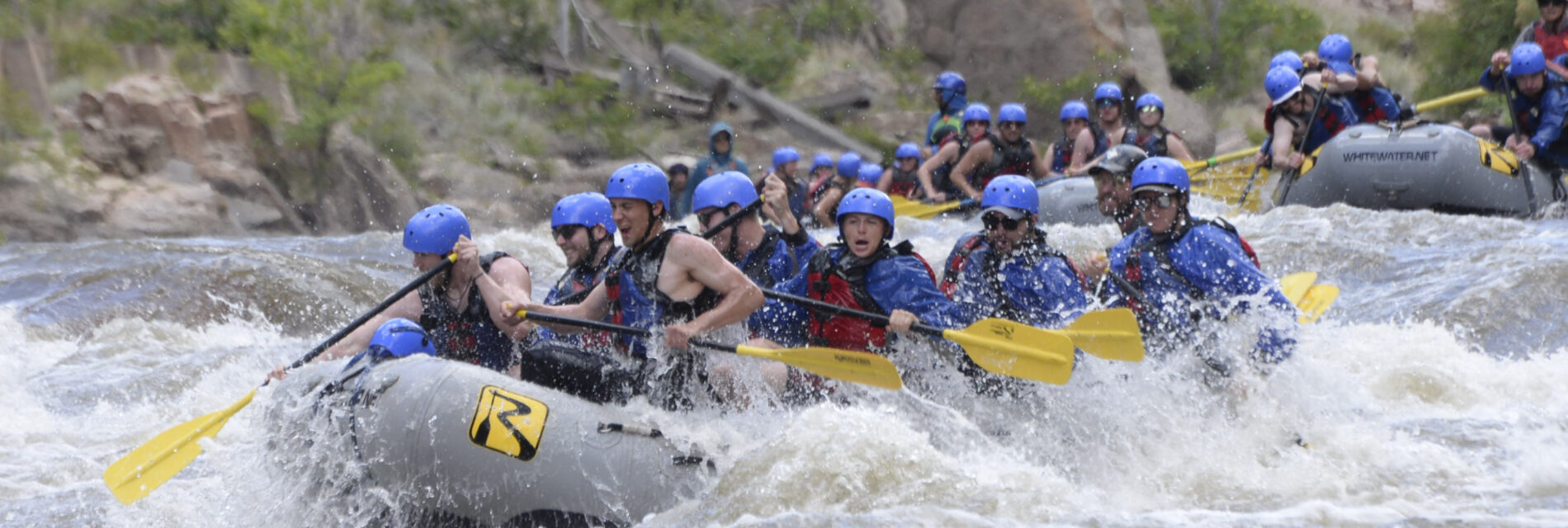 News – Palski & Associates