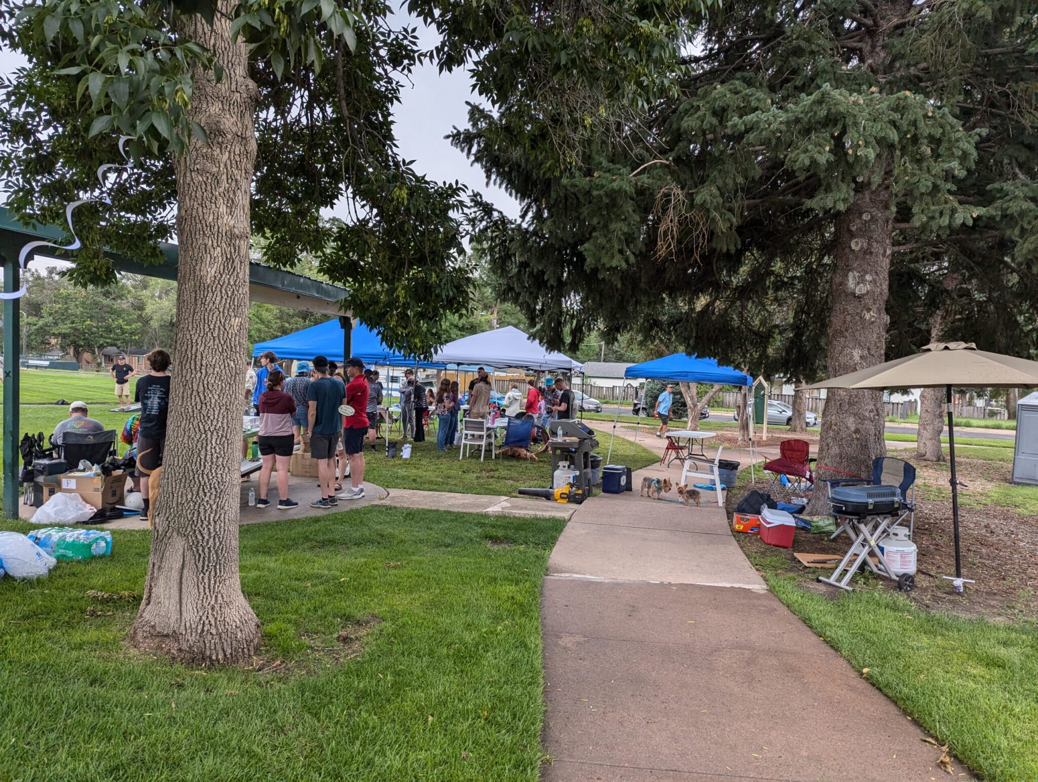 2nd Annual Palski Picnic – Palski & Associates